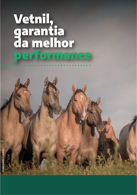 VETNIL – Parceira de quem cuida – Saúde e Bem-estar animal